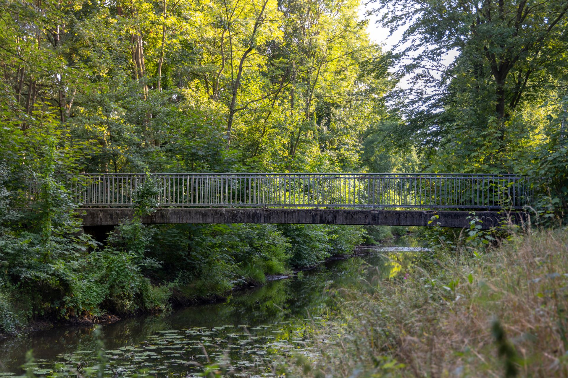 Ladbergen an der Friedensroute